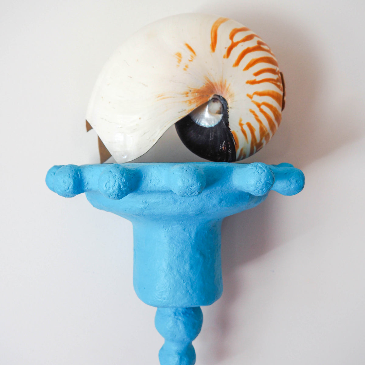 Wall Sconce Display Shelf | Sculptural Art | Display Collections